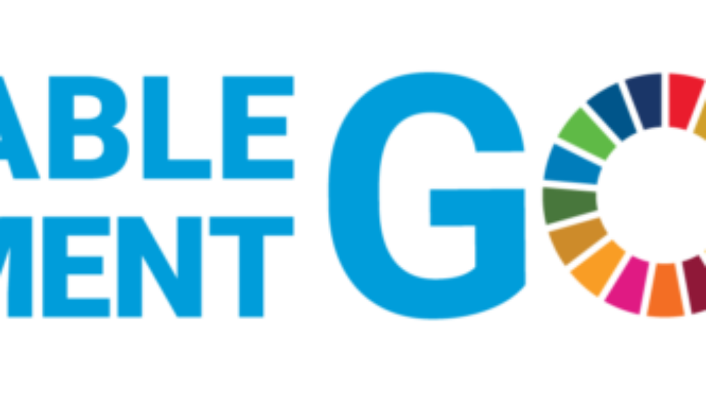 The Young SDG Leaders Program (July 2023): Top Participants! – Innovapolis